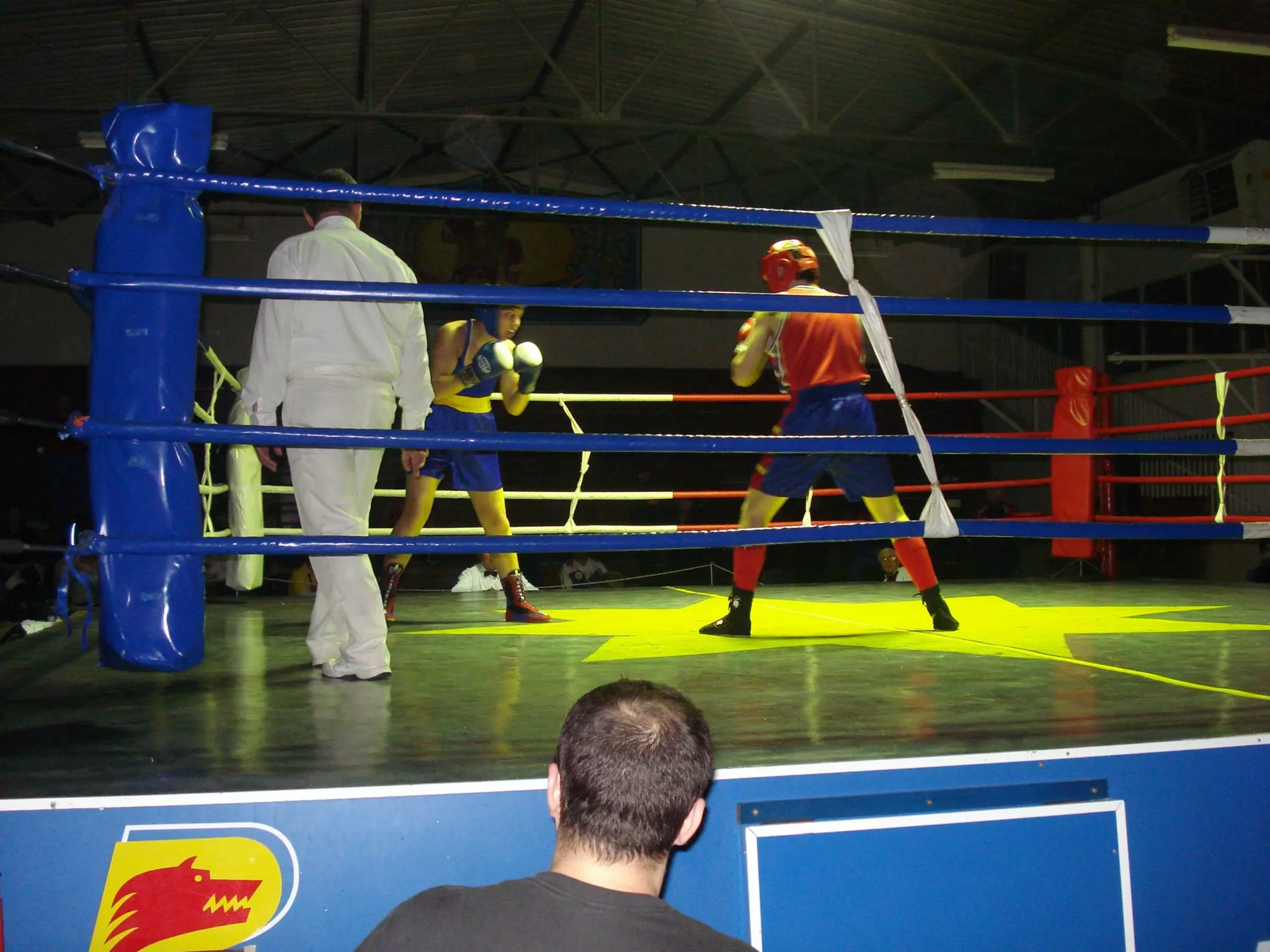 Prezentare licenta f.o.r. | PPT