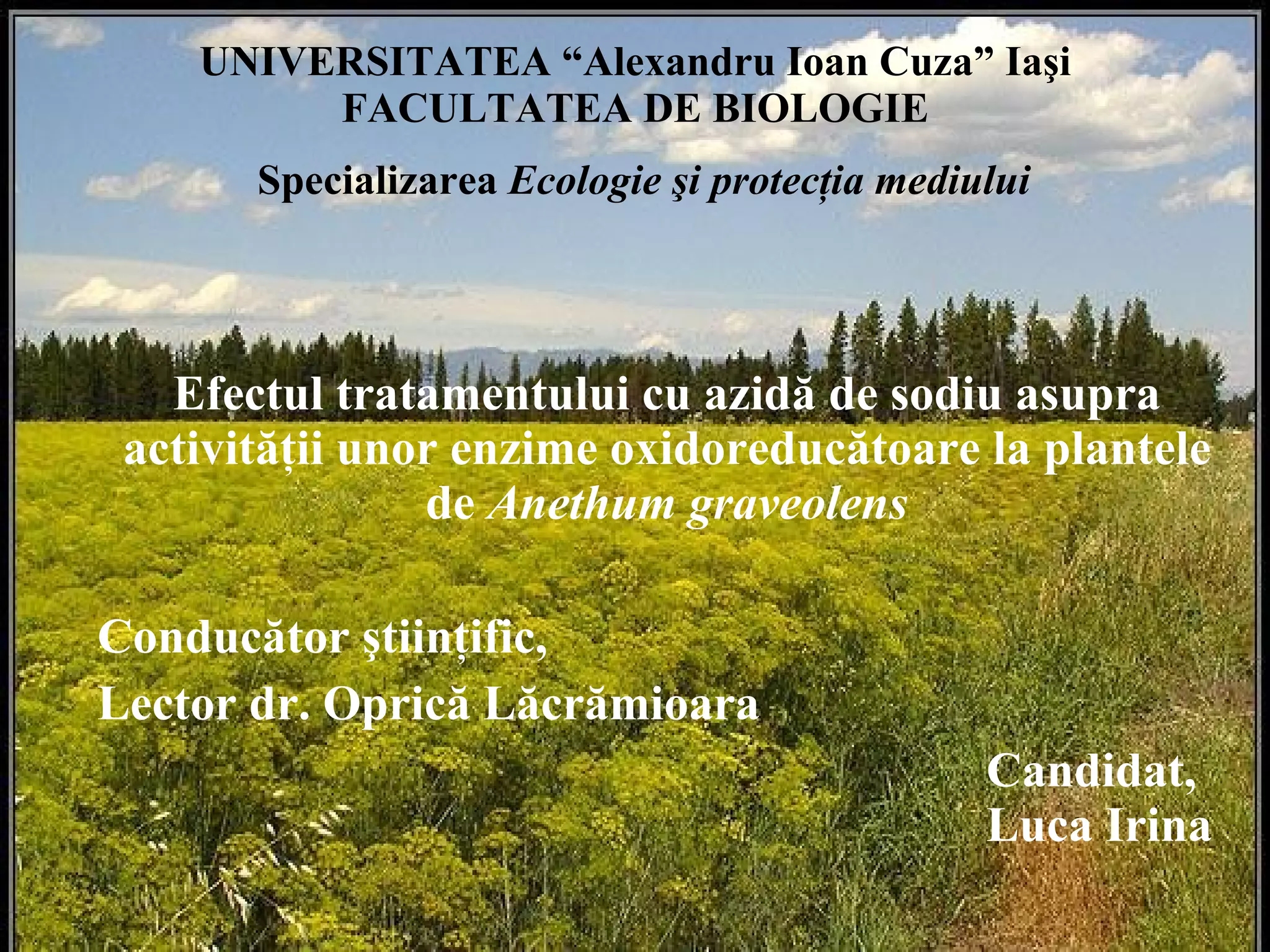 Prezentare licenta, irina luca | PPT