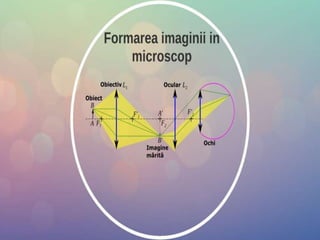 prezentare microscopul electronic.pptx