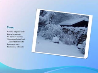 Iarna la Noi | PPT