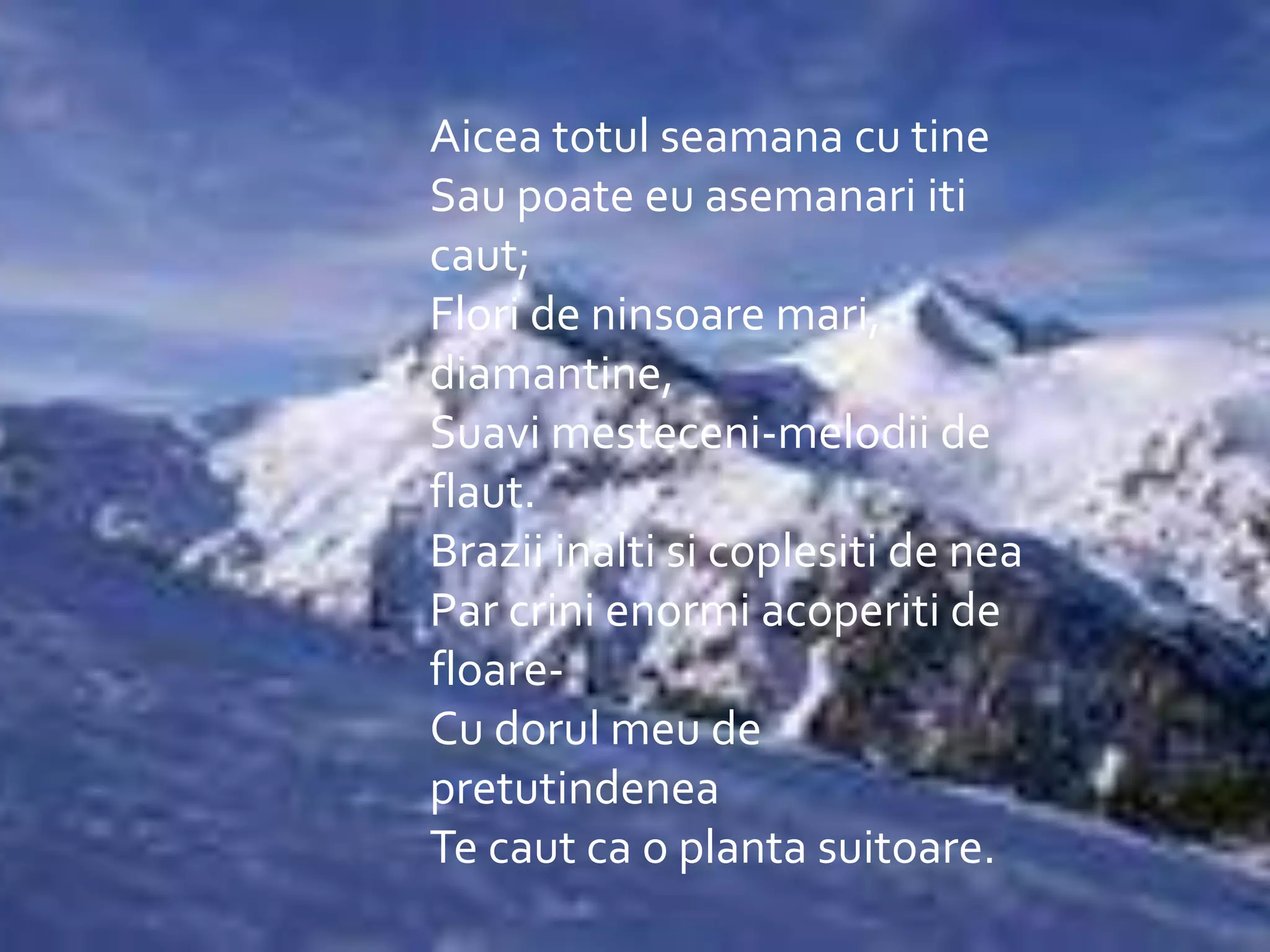 Prezentare Microsoft Office Power Point Nou (3) | PPTX