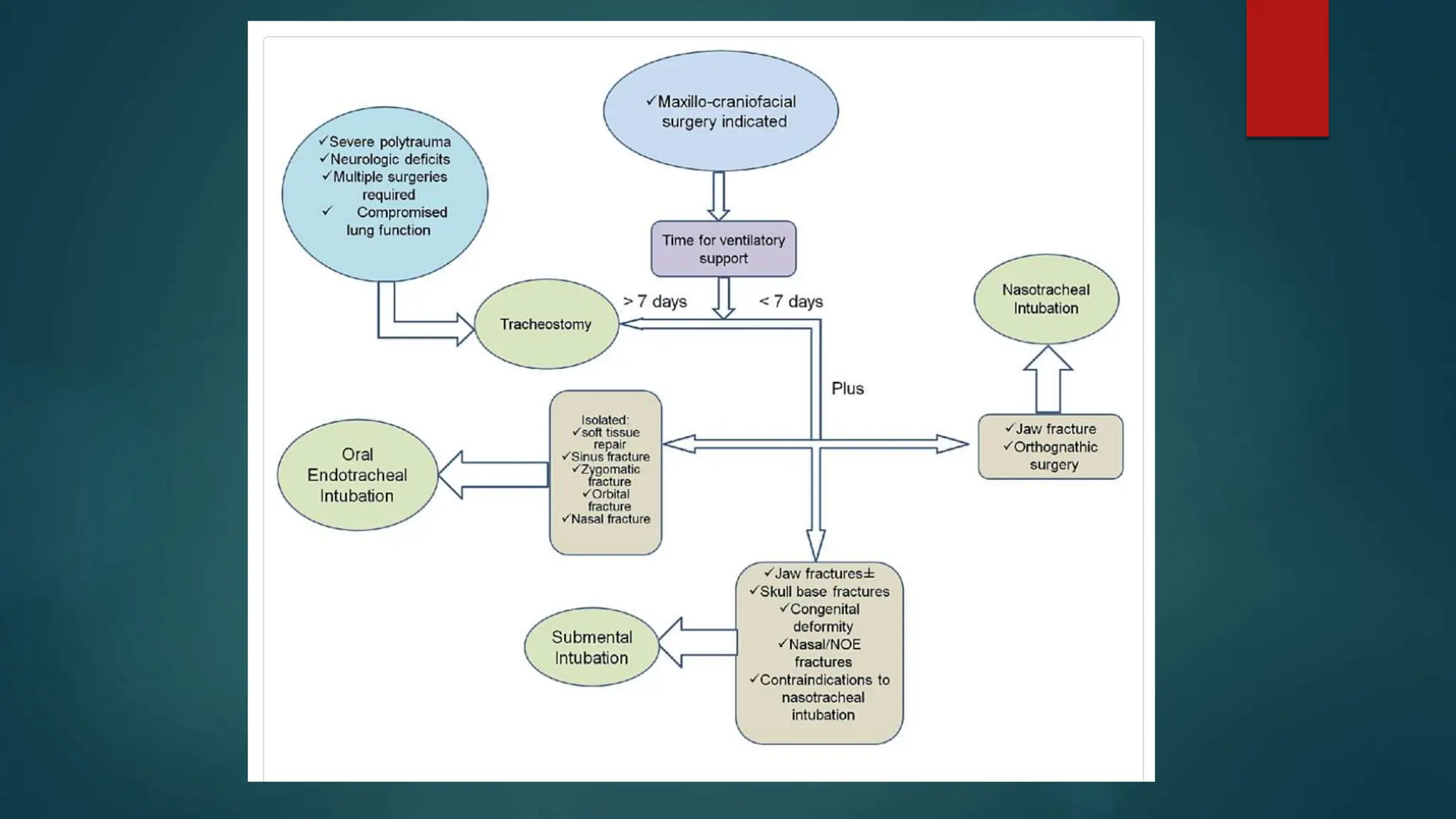 Prezentare Microsoft PowerPoint nou.pptx