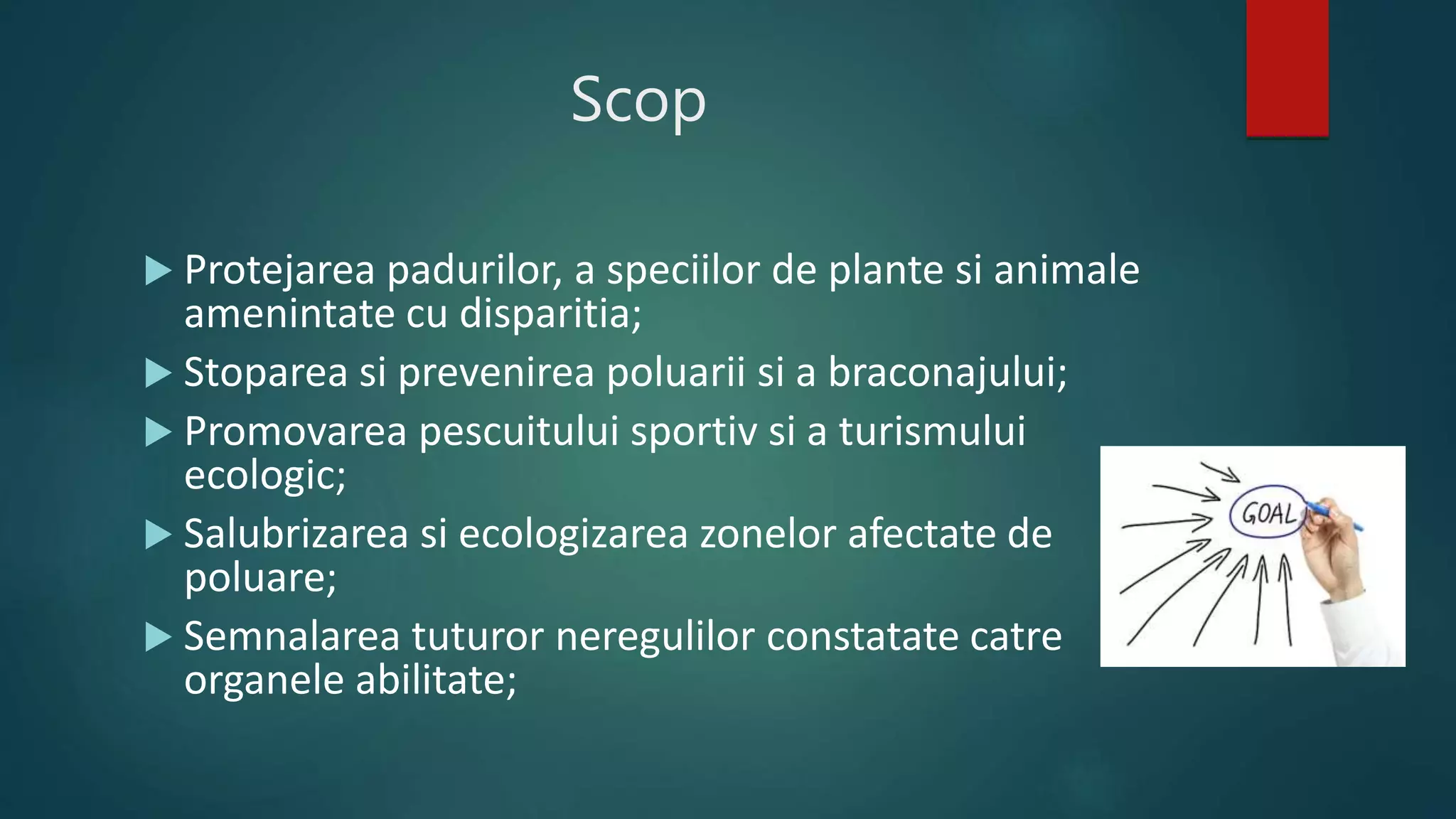 Prezentare ONG.pptx