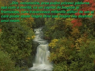 Prezentare padurea | PPT