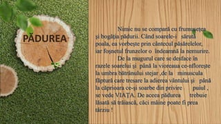 Prezentare padure . Lectia medii de viata | PPTX