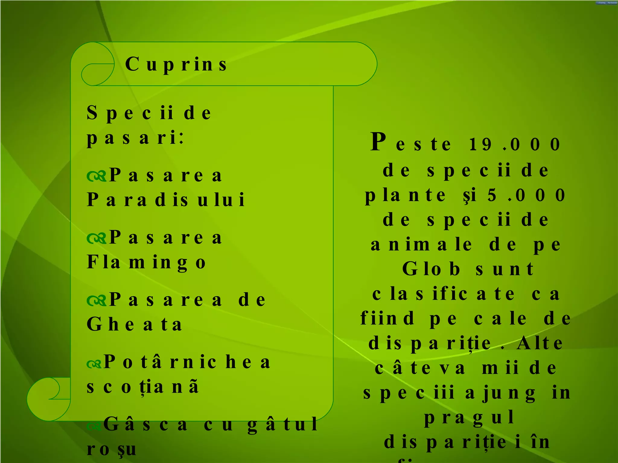 Prezentare pasari rare C.N.I. Piatra_Neamt | PPT