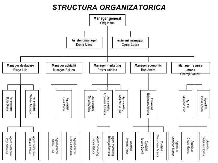 Prezentare Plan D Afaceri.