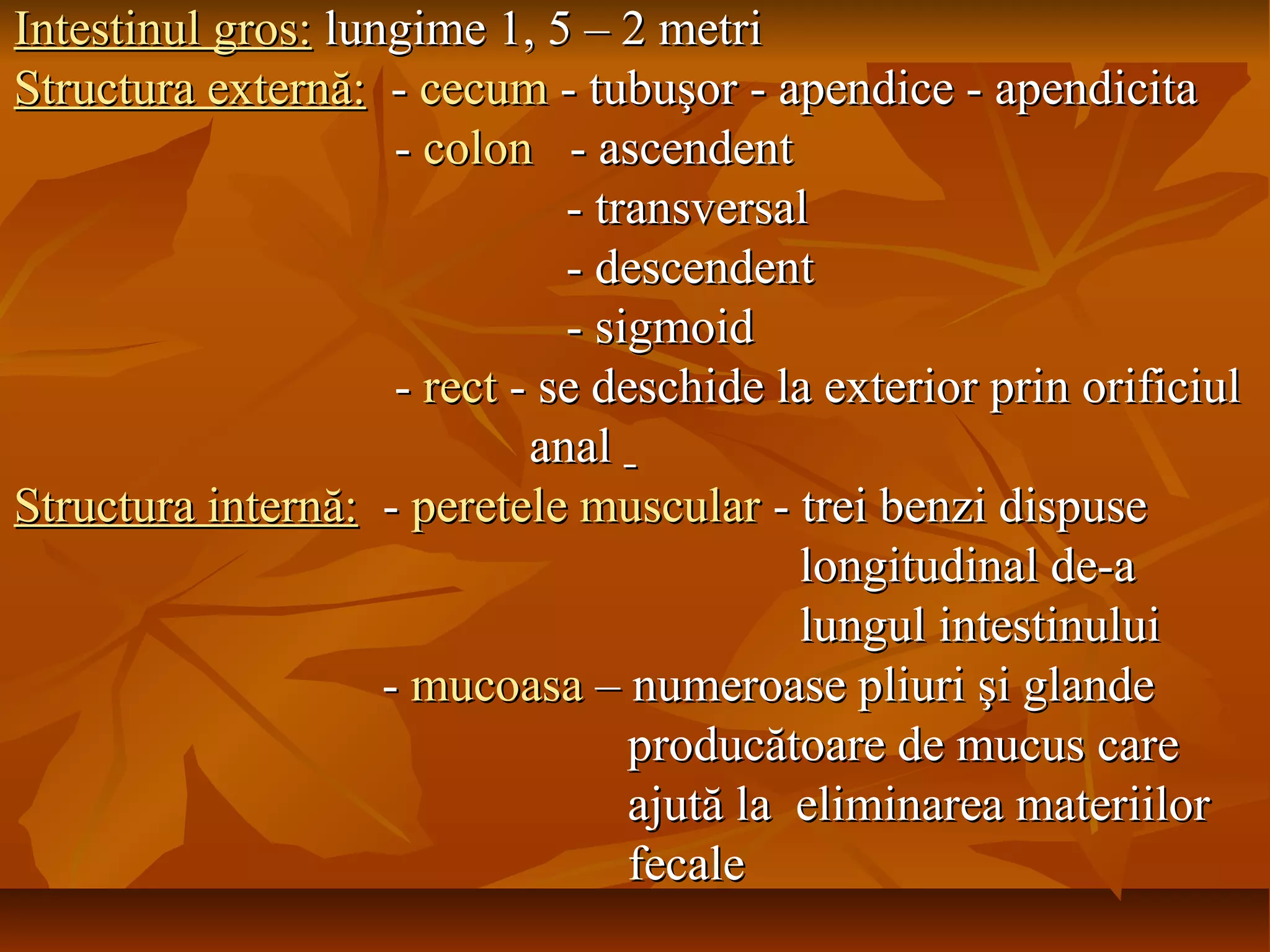 Sistemul digestiv - Prezentare ppt | PPT