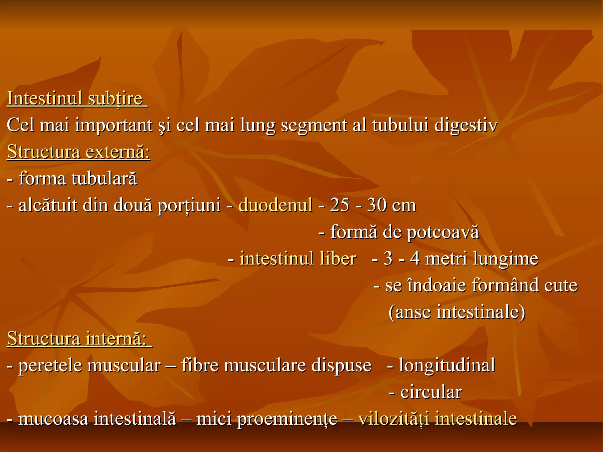 Sistemul digestiv - Prezentare ppt | PPT