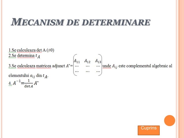 Prezentare ppt matrice | PPTX