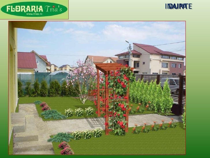 Proiectare 3d gradini Floraria Tria's