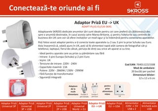 Prezentare SKROSS | PDF