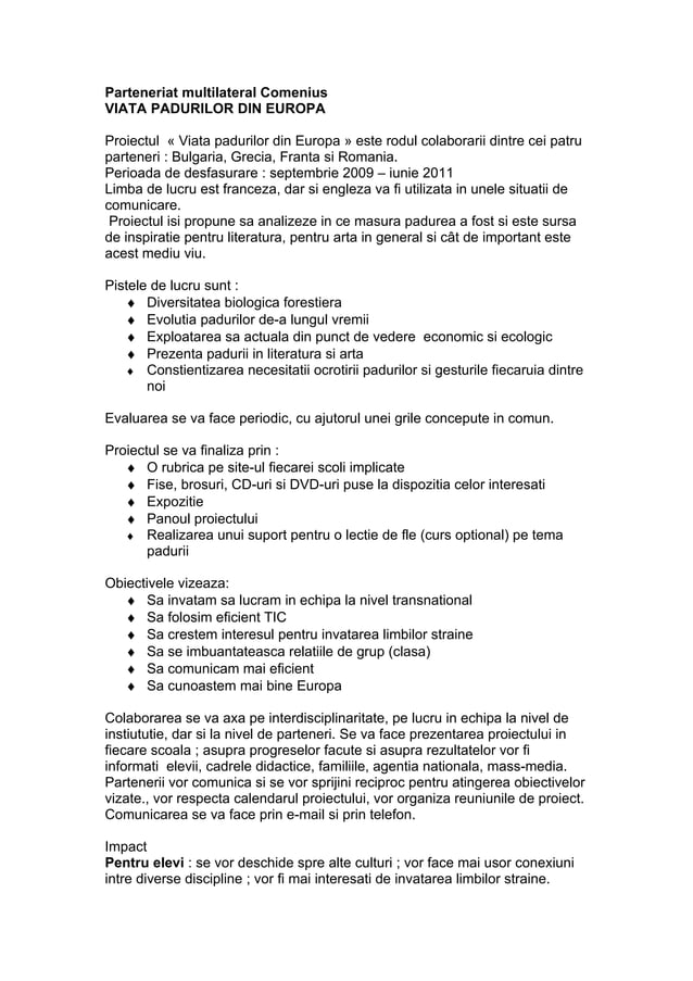 Prezentare proiect | PDF