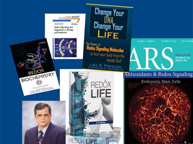 RENU 28. Presentation | PPT