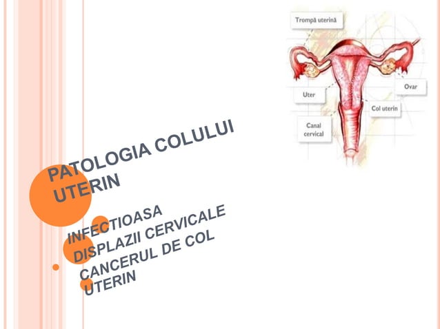 Patologia colului uterin.pptx