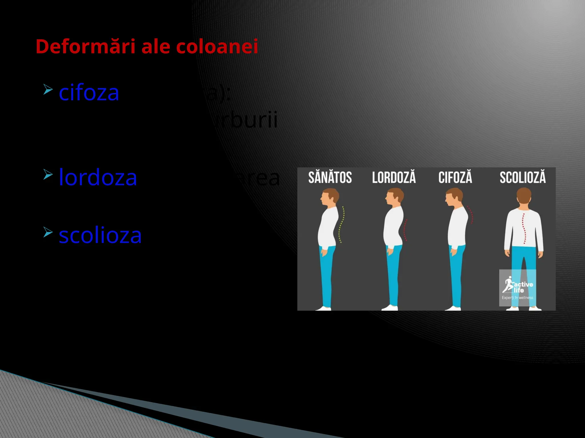 prezentare_sistemul_locomotor p_ppt.pptx