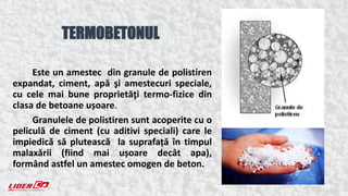 Prezentare Termobeton Lider Servicii | PDF