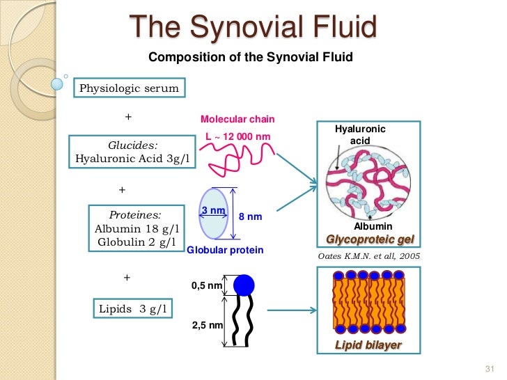 NANOPHYSICAL ANALYSIS TO STUDY EVOLUTION OF