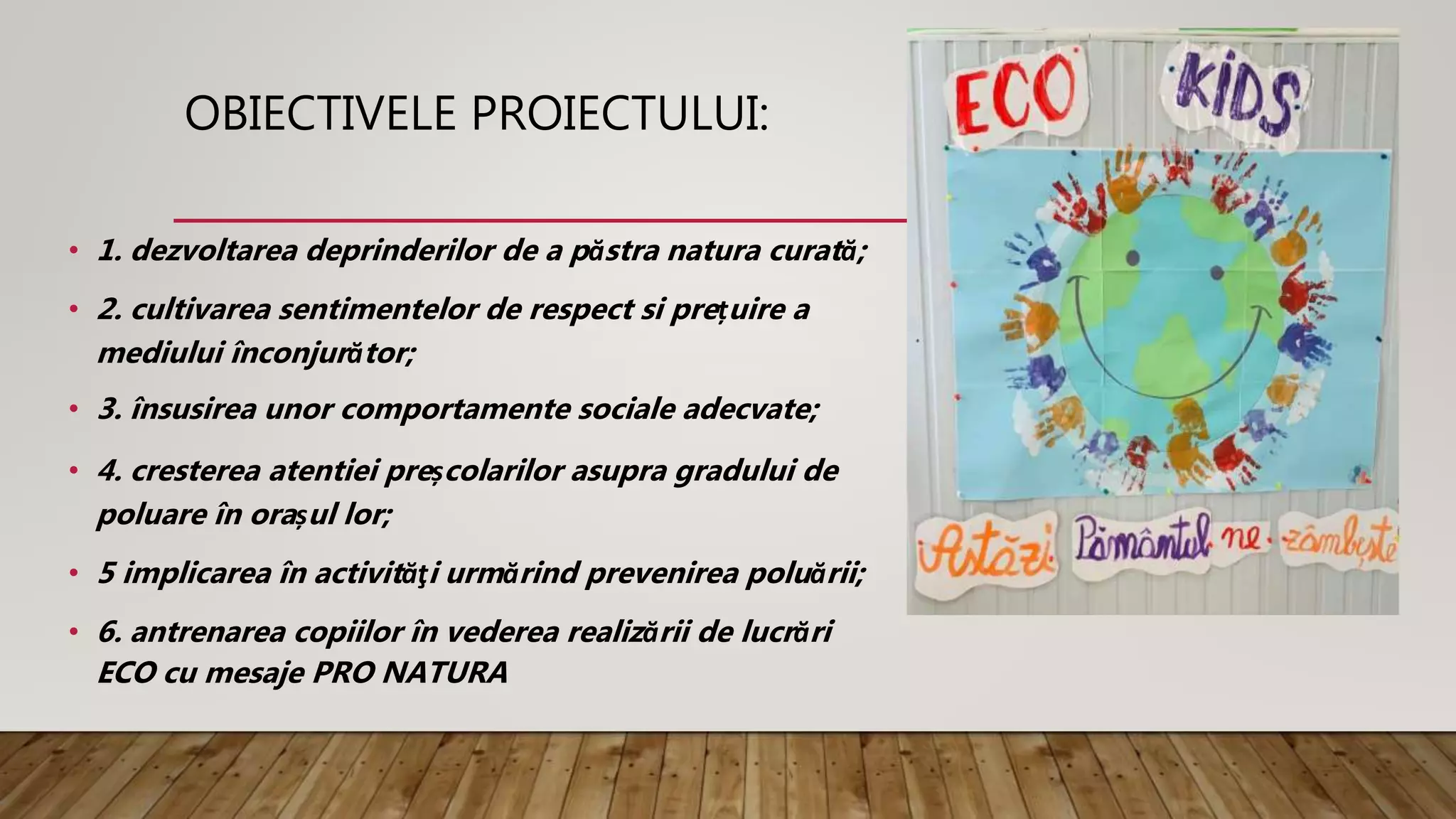 Raport proiect Ursuletul calator.pptx