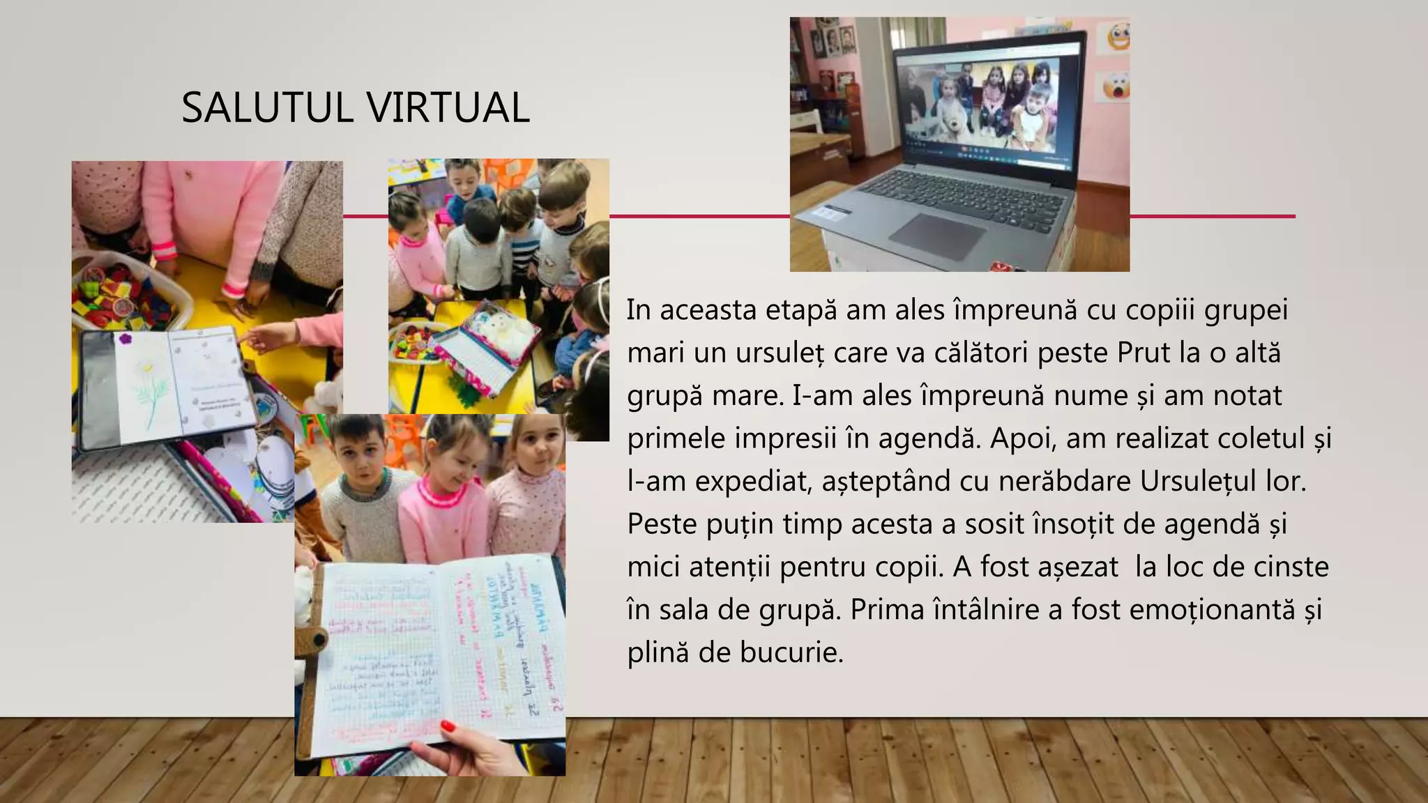 Raport proiect Ursuletul calator.pptx