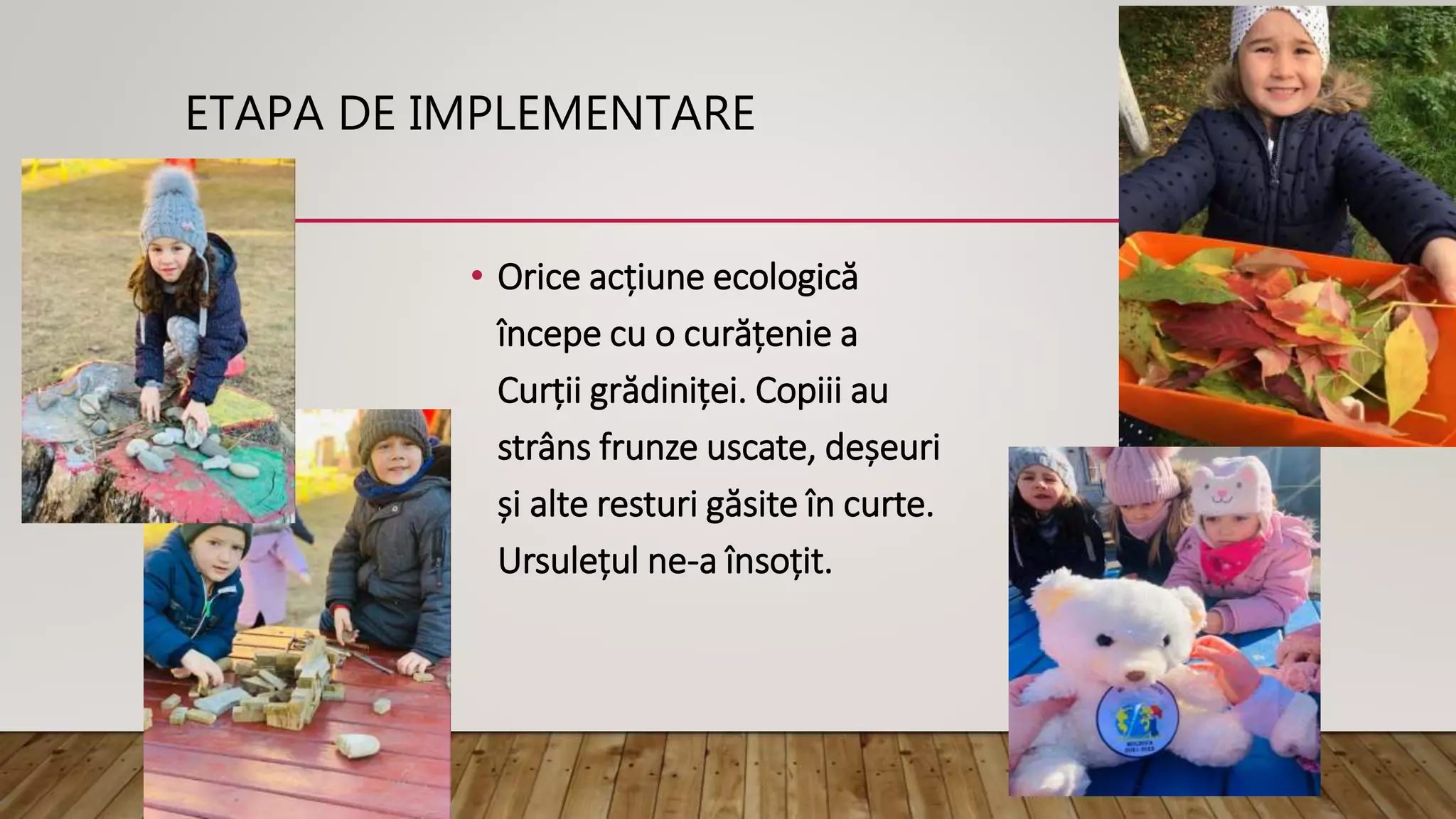 Raport proiect Ursuletul calator.pptx