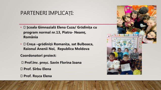 Raport proiect Ursuletul calator.pptx