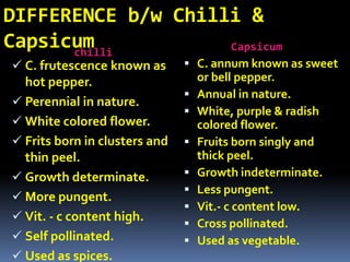 Presentation on chillie breeding | PPTX