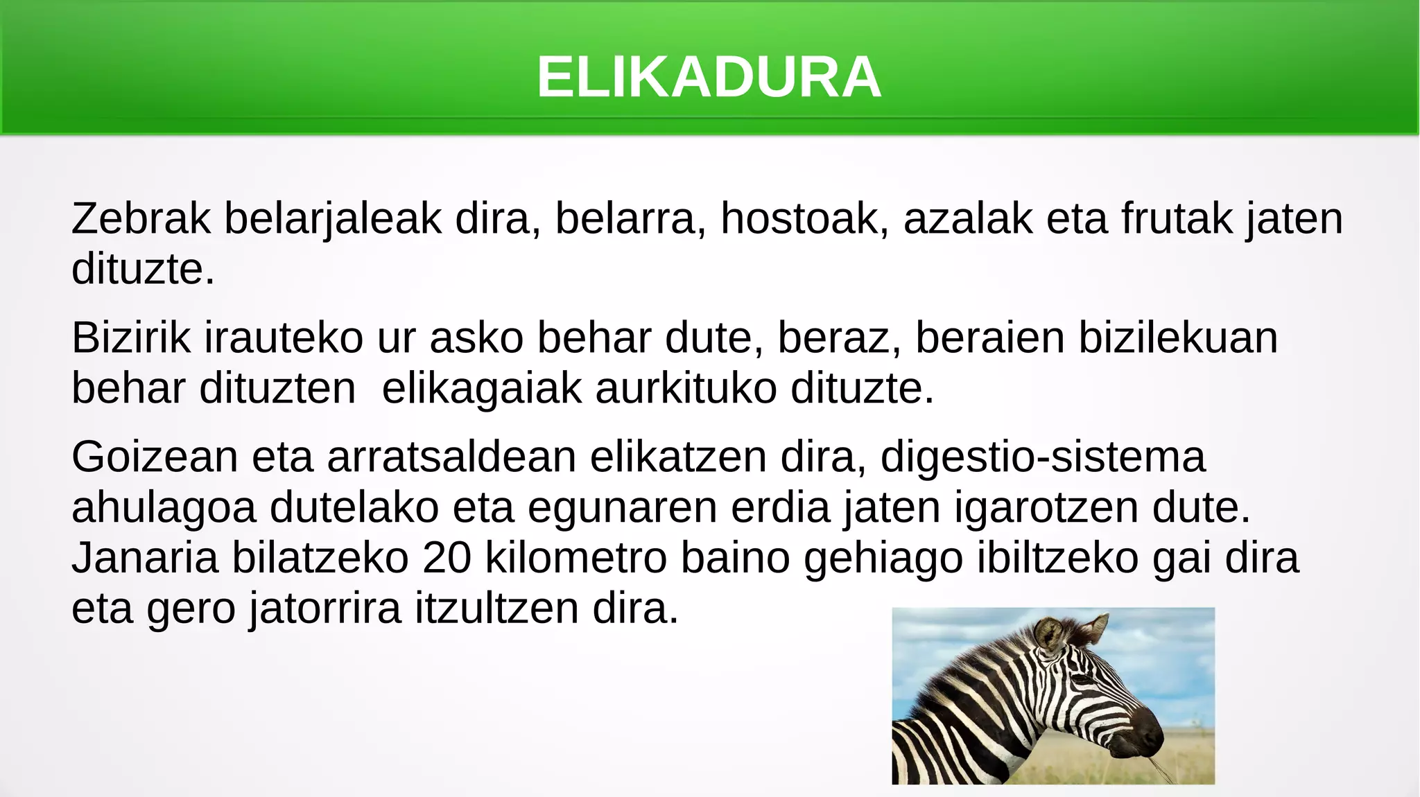 Prezentazioa zebra | PPT