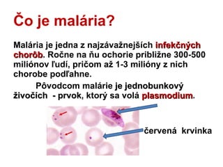Prezentácia bio - v - 2 - malária | PPT