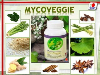 Prezentácia MycoVeggie- DXN MycoVeggie EU | PPT