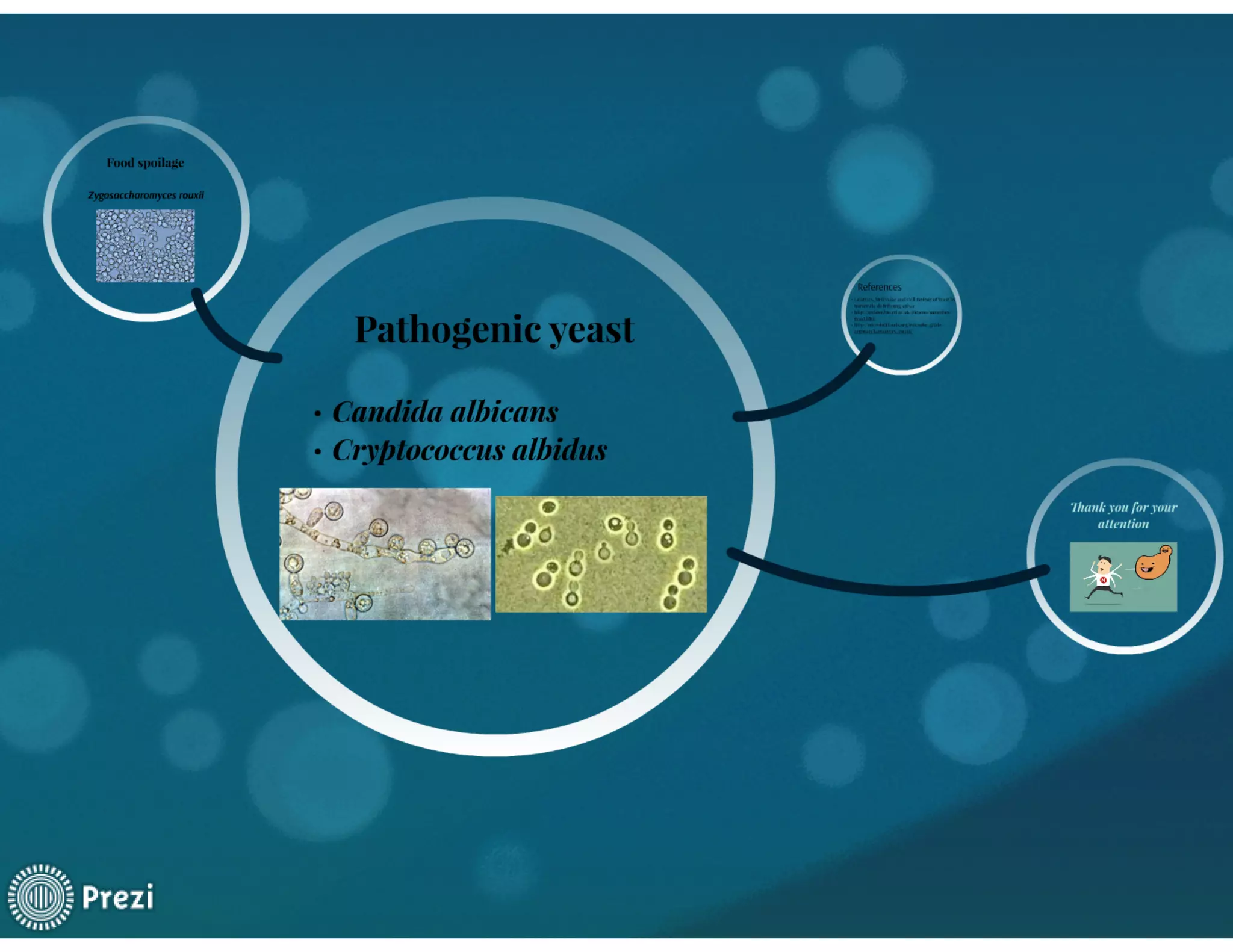A single cell called yeast | PDF