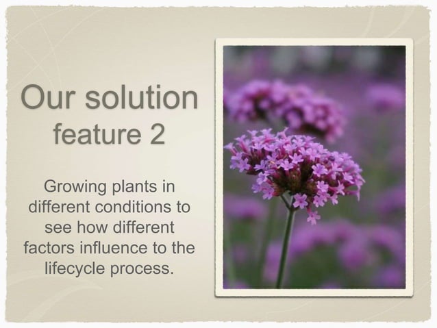 Plant observatory | PPT
