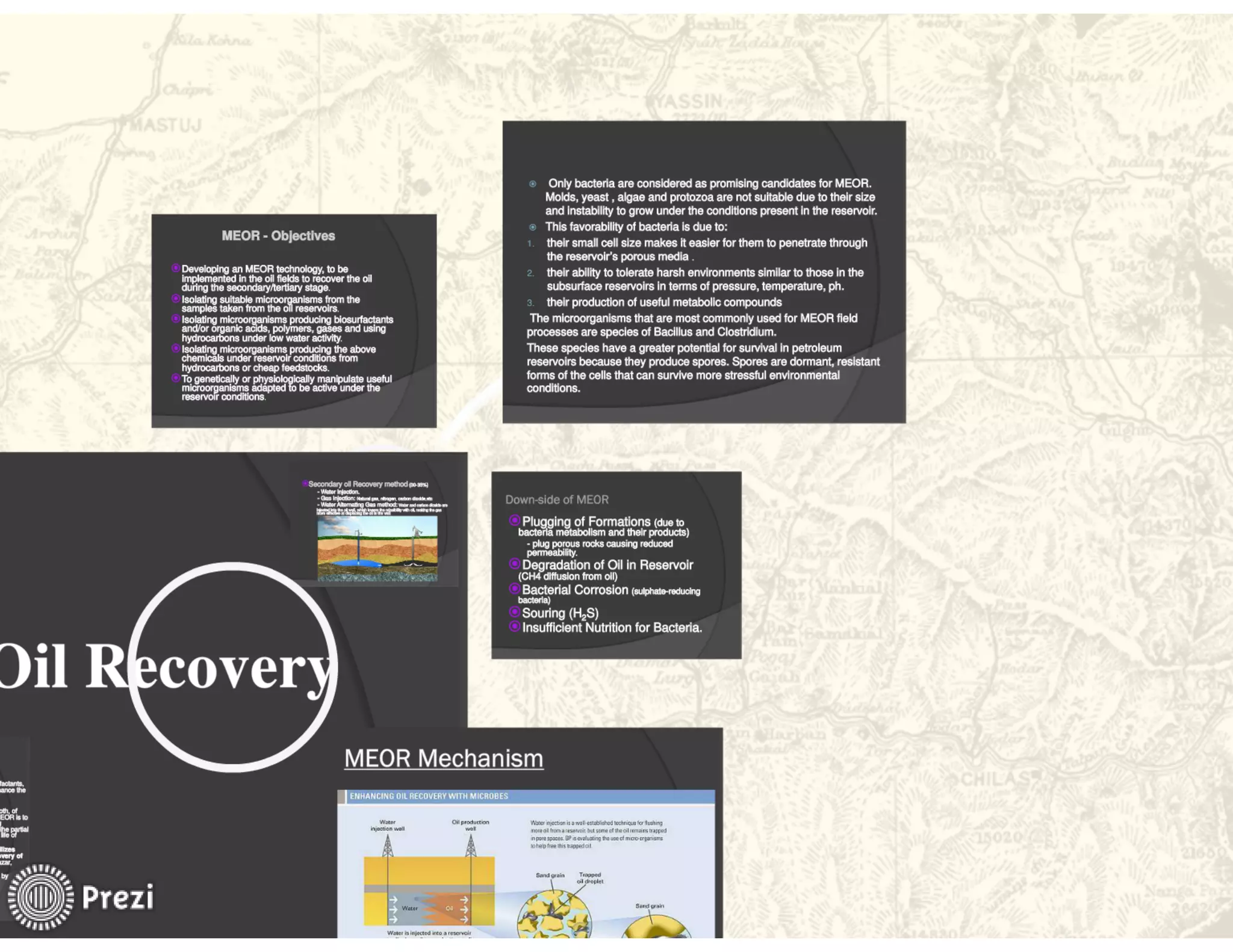 MEOR (microbial enhanced oil recovery) | PDF