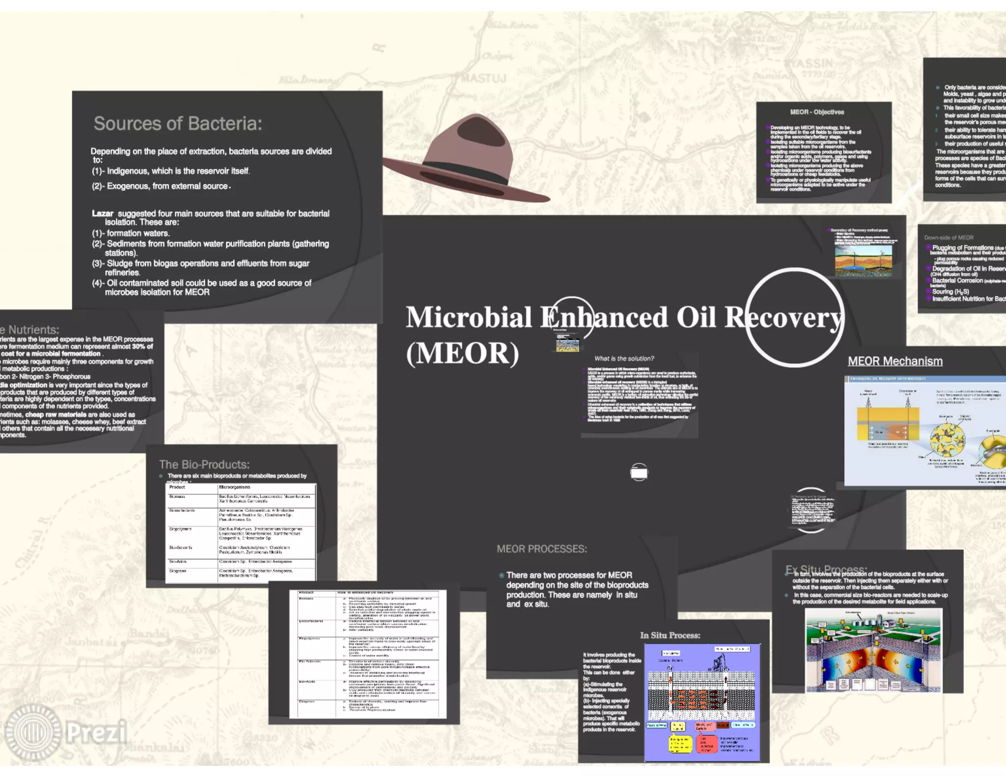 MEOR (microbial enhanced oil recovery) | PDF