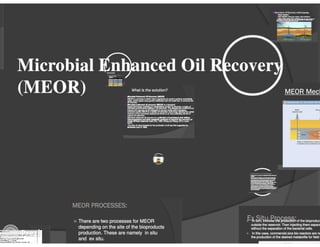 MEOR (microbial enhanced oil recovery) | PDF