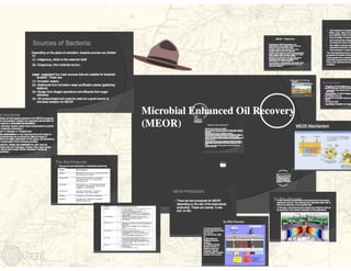 MEOR (microbial enhanced oil recovery) | PDF