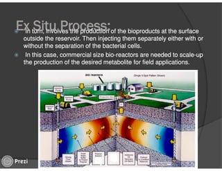 MEOR (microbial enhanced oil recovery) | PDF