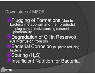MEOR (microbial enhanced oil recovery) | PDF