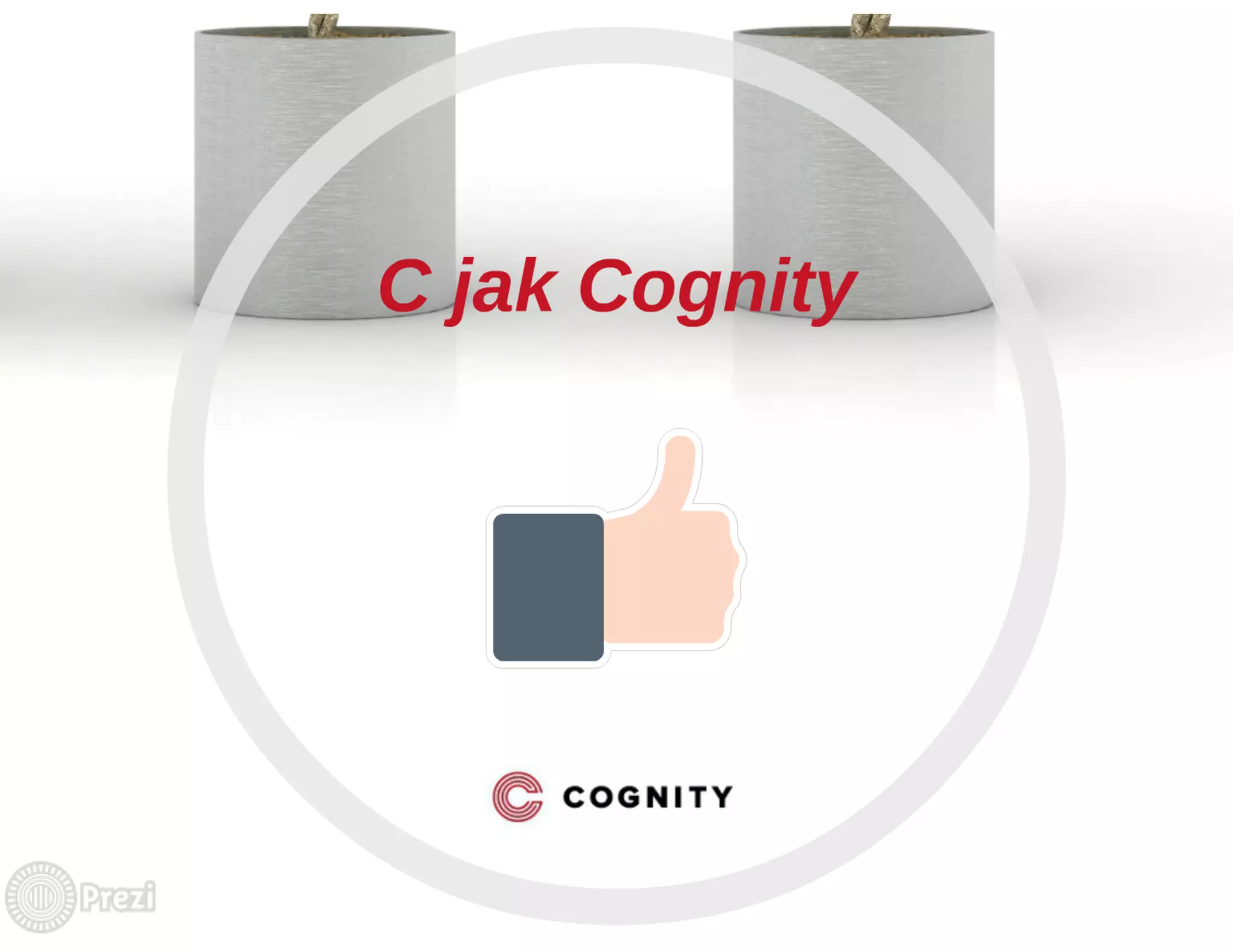 Visual Basic for Application in Cognity | PDF