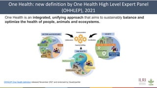 The context surrounding the emergence of infectious diseases and the ...