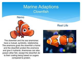 Fashion a Fish with Nemo & Friends | PPTX