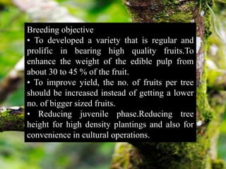 Jack fruit breeding ppt. Ranjeet maurya . | PPTX