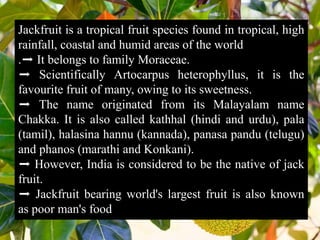 Jack fruit breeding ppt. Ranjeet maurya . | PPTX