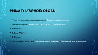 priamay_Lymphoid_organ_-_immunology[1]- sarah (1).pdf