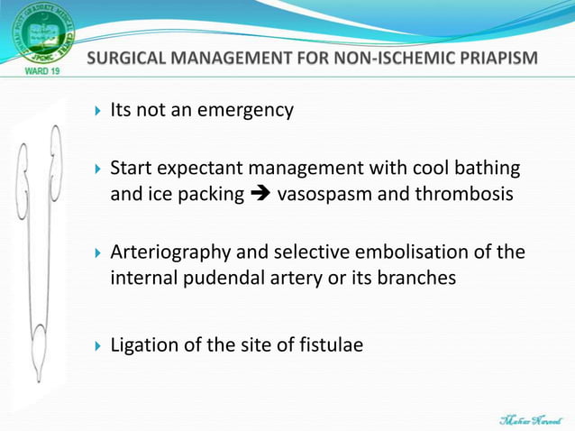 Priapism | PPT