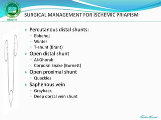 Priapism | PPSX