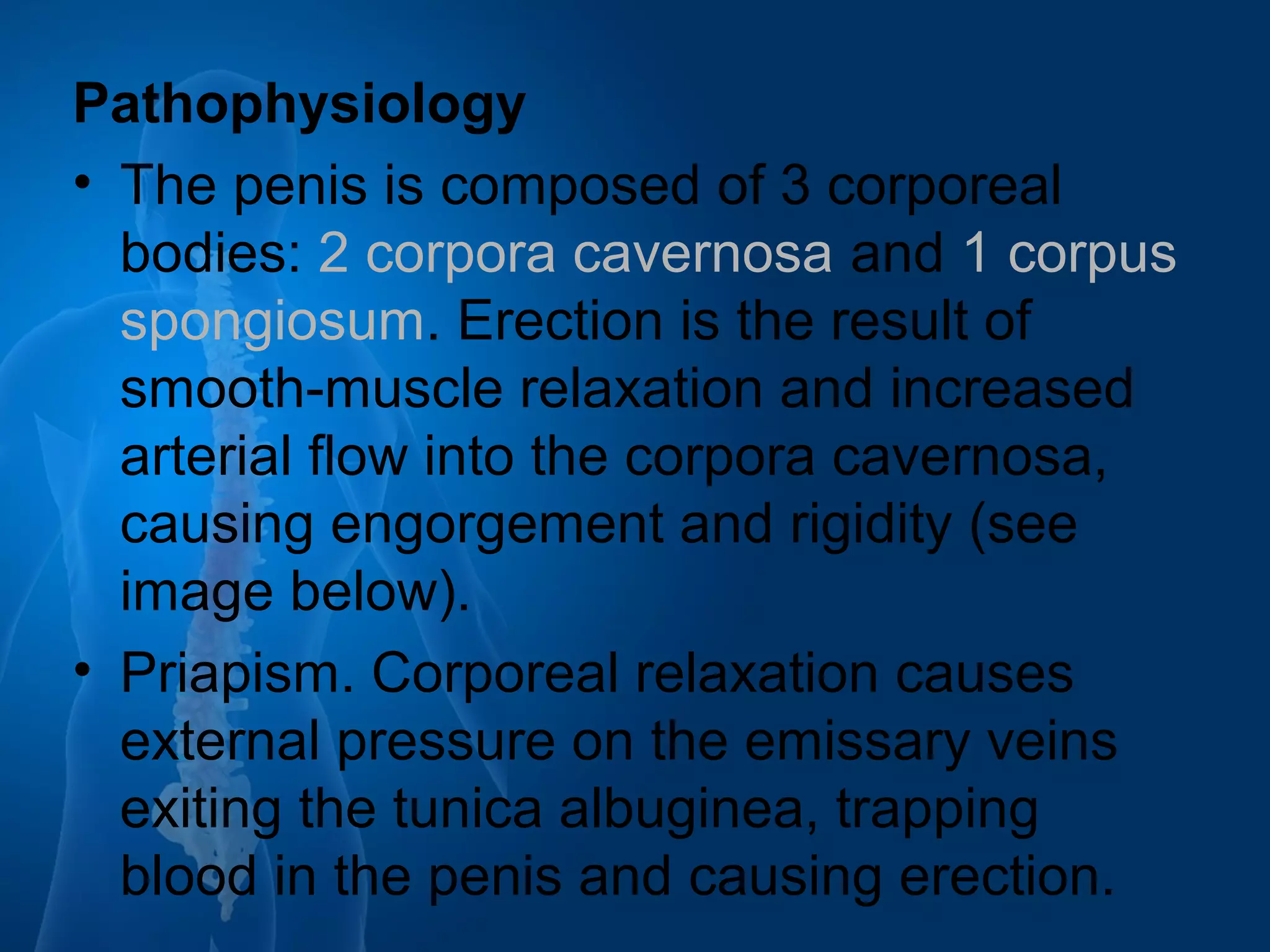 Priapism | PPT