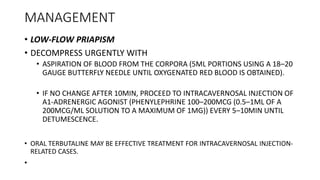 Priapism | PPTX | Blood Disorders | Diseases and Conditions