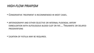 Priapism | PPTX | Blood Disorders | Diseases and Conditions