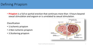 priapism and peyronies disease.pptx